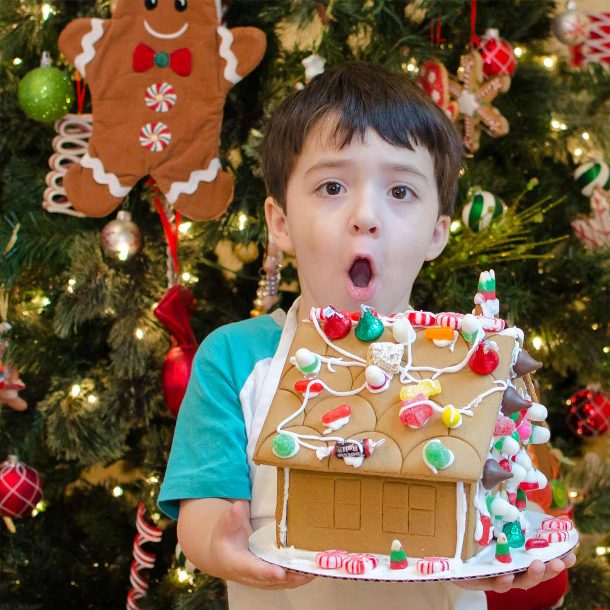 Gingerbread House Workshop North Andover MA | Taste Buds Kitchen